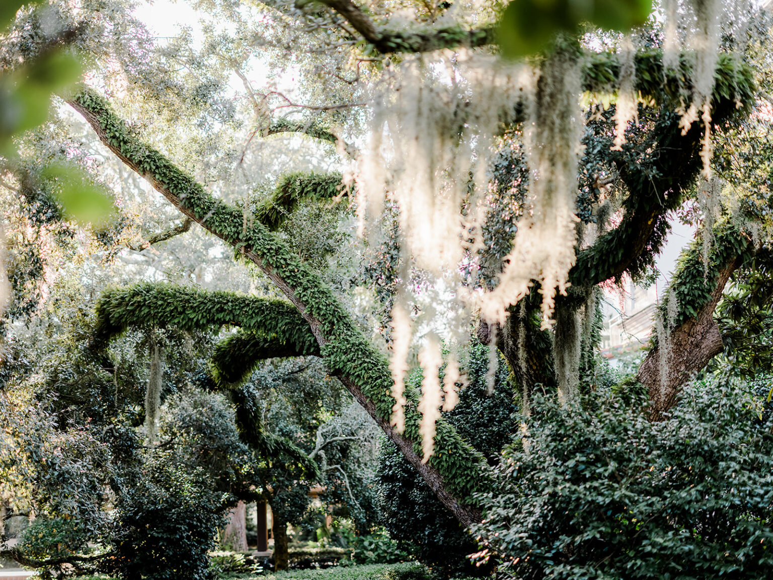 Discover a Stunning Sea Island Wedding