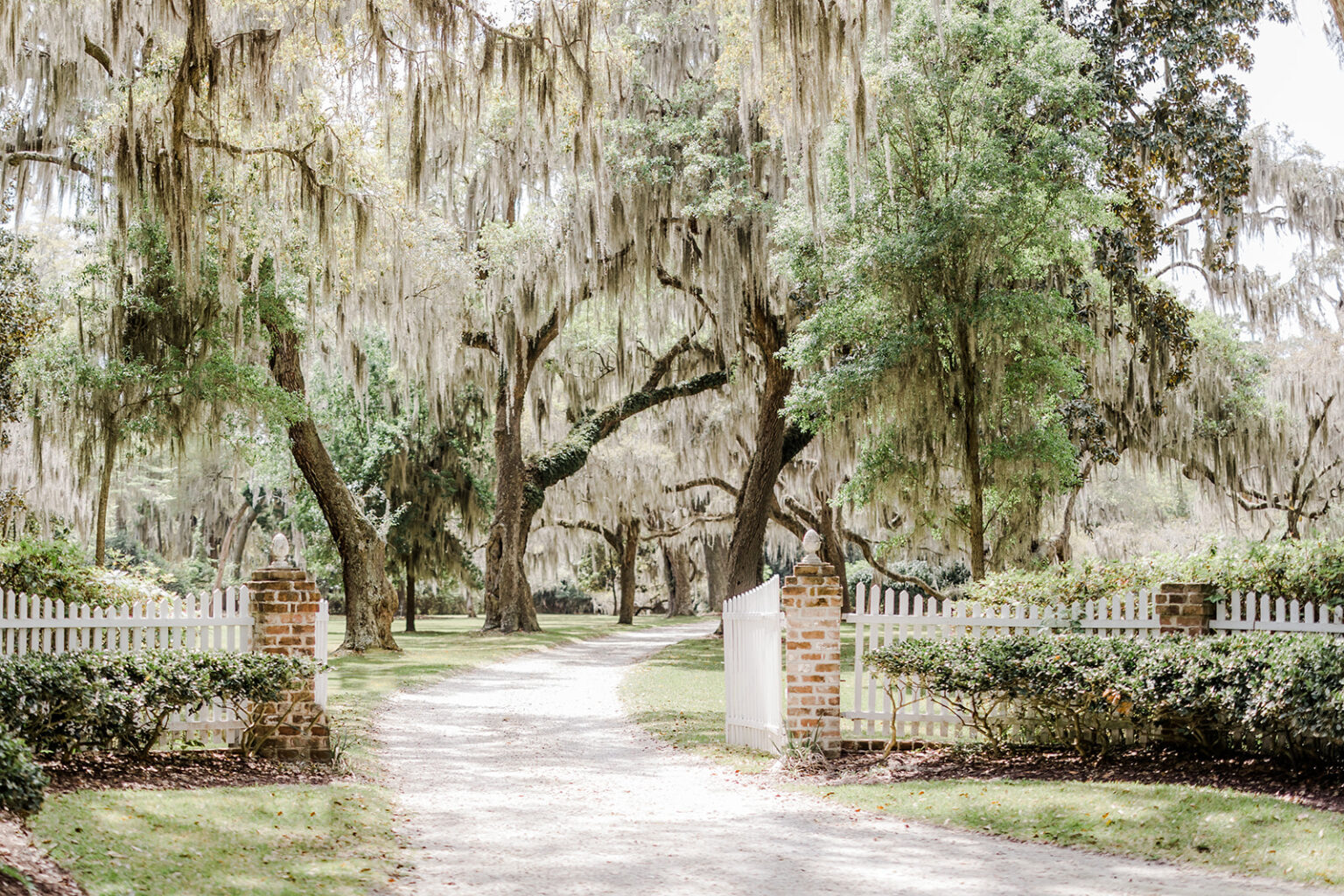 Beaulieu Estate { The Ultimate Wedding Venue